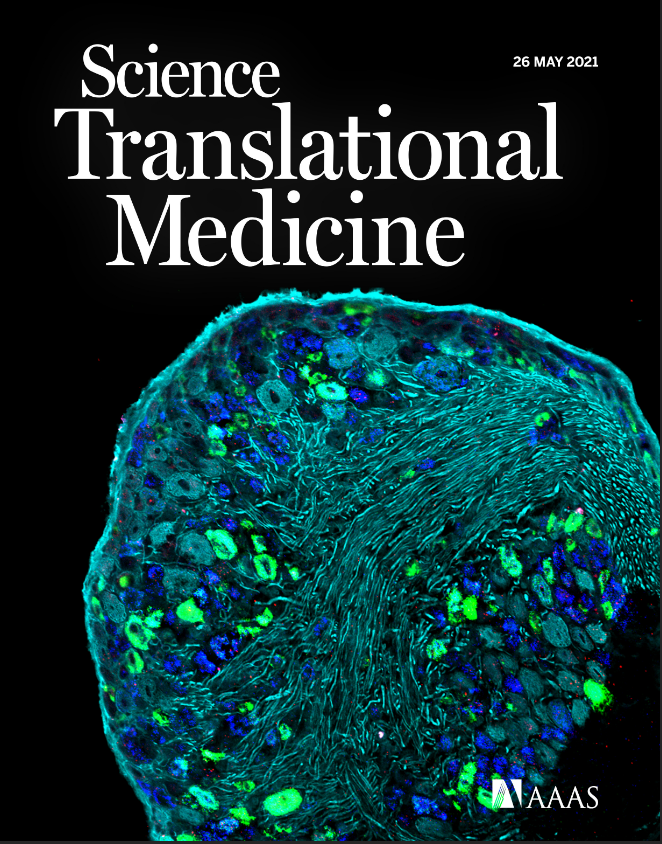 Science Trans | 顯微觀點