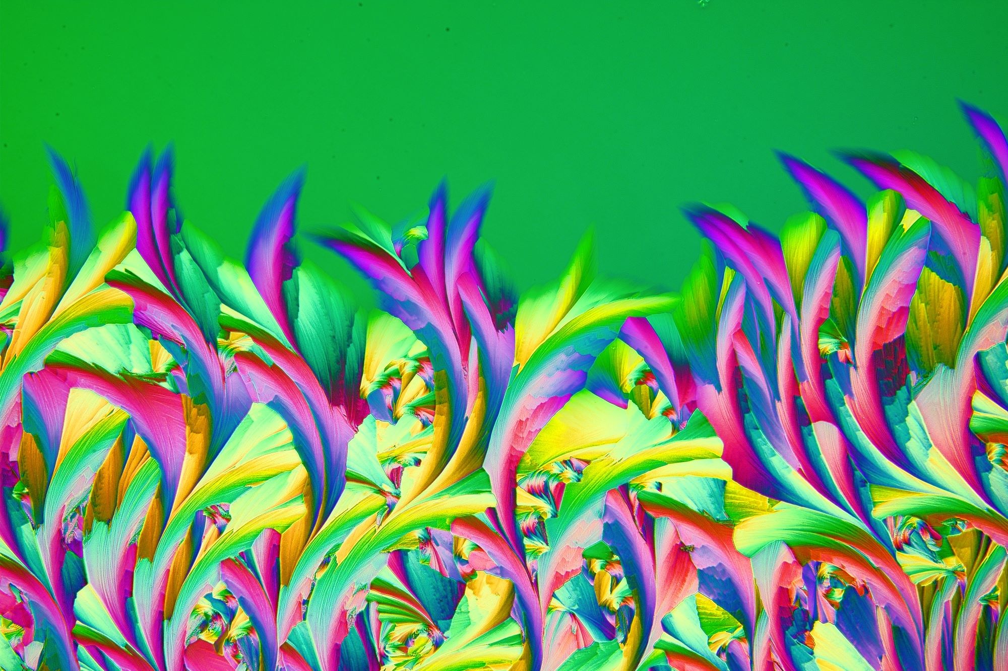 猶如萬花筒 微觀藥物結晶獲首屆IOTY材料科學優勝獎 | 顯微觀點