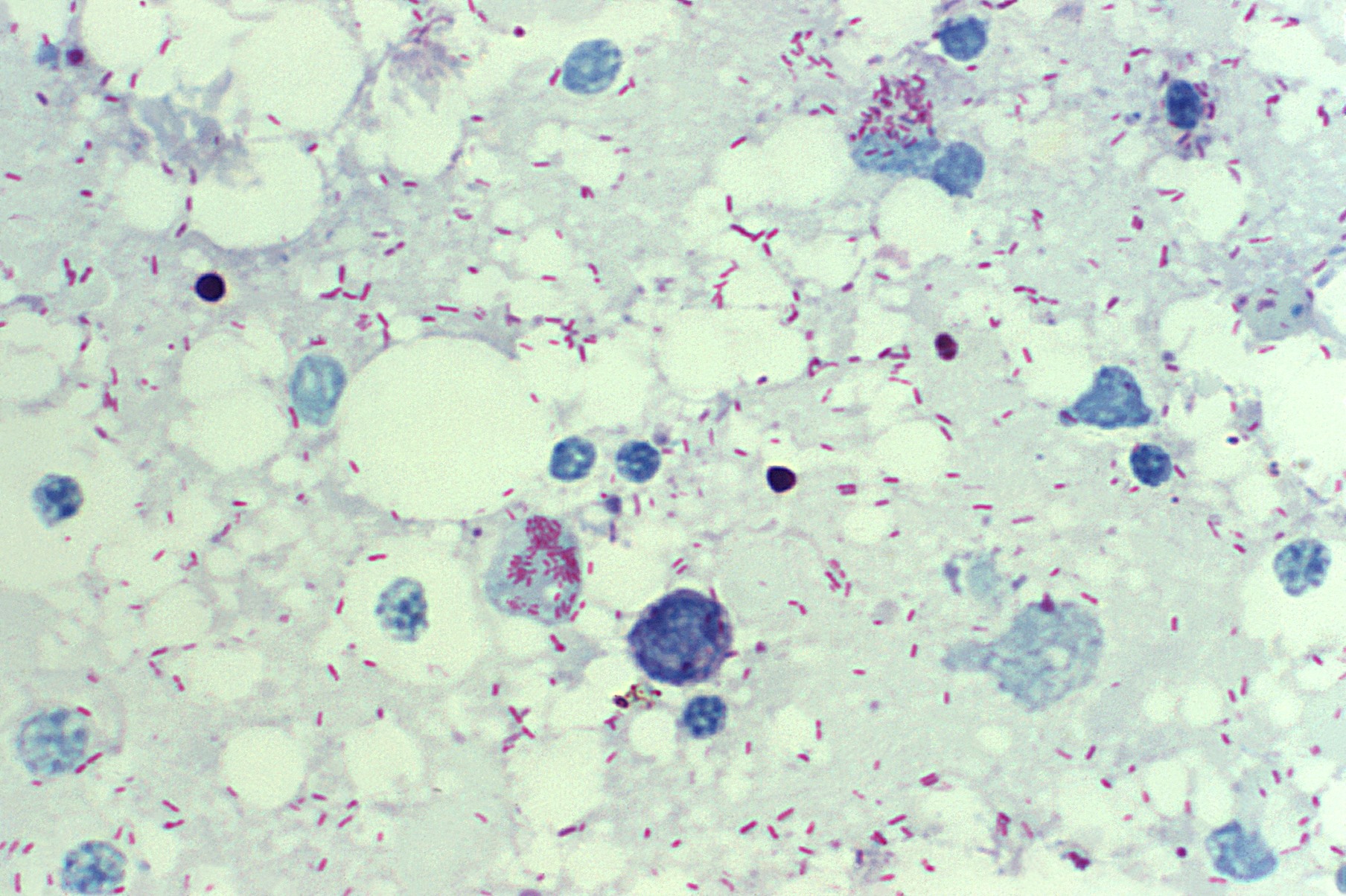 半導體晶片的微小奇蹟：原子層沉積技術（ALD） - PanSci 泛科學
