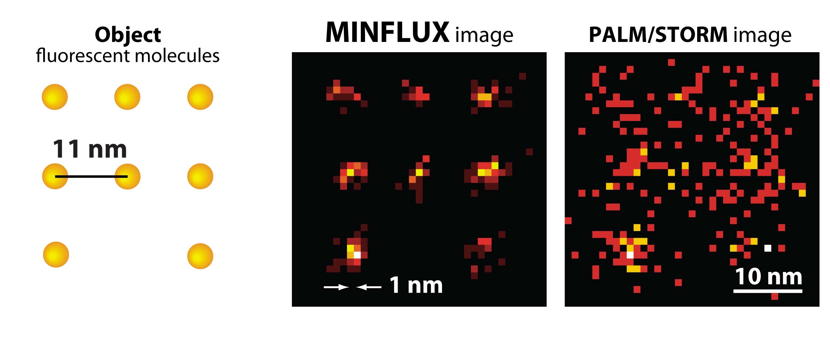 MINFLUX分子追蹤術(2)：“後”超解析時代展開 | 顯微觀點