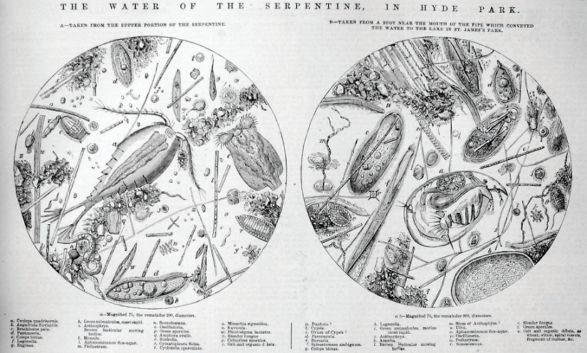 從門得列夫到 118 種元素：元素週期表是怎麼出現的？ - PanSci 泛科學